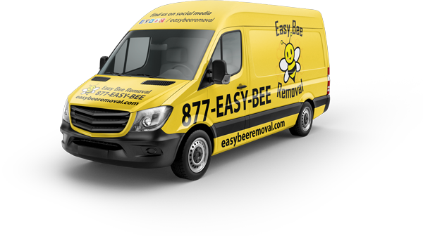 Easy Bee Removal - Easy Bee Removal